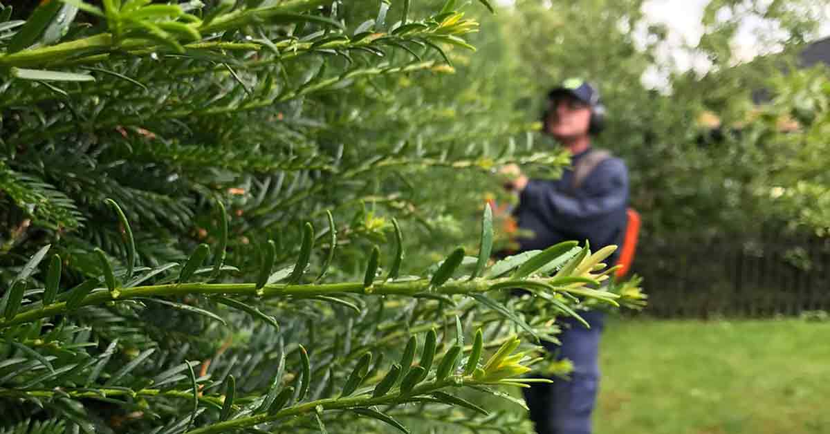 Uitvaartverzorging: een goed afscheid helpt je verder | Yarden